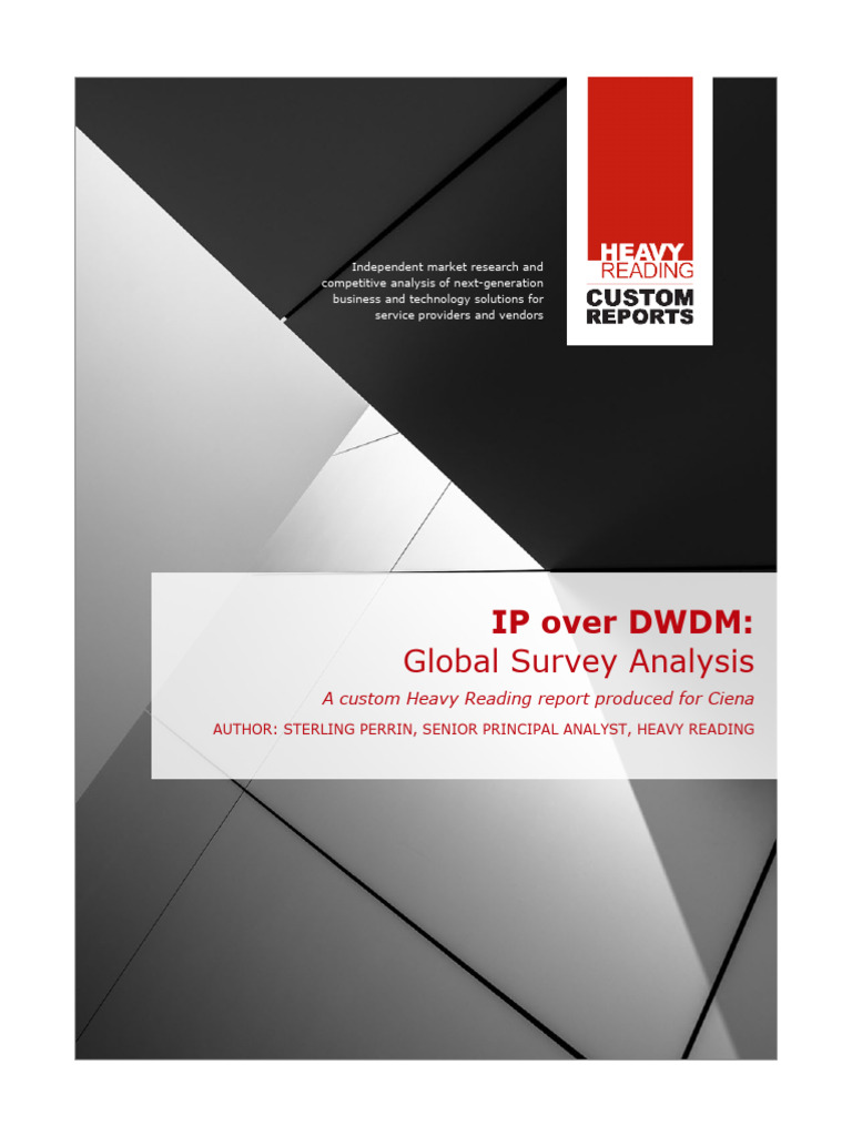 Ip Over Dwdm | PDF | Wavelength Division Multiplexing | Router (Computing)