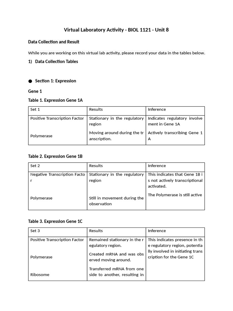 BIOL 1121 Virtual Lab Data Analysis | PDF | Messenger Rna | Translation ...