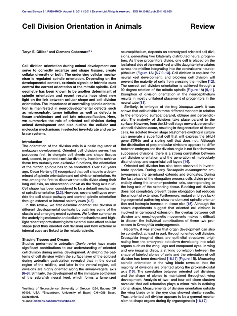 2011动物中的细胞分裂取向Cell Division Orientation in Animals | PDF | Biology ...