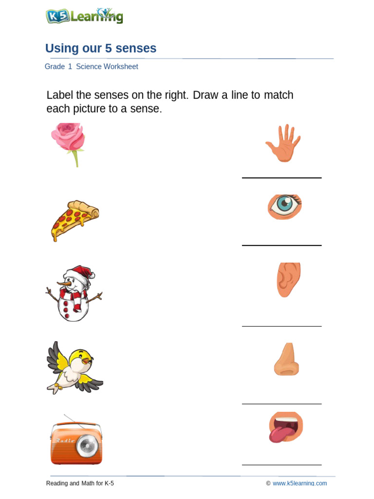 Grade 1 Five Senses A | PDF