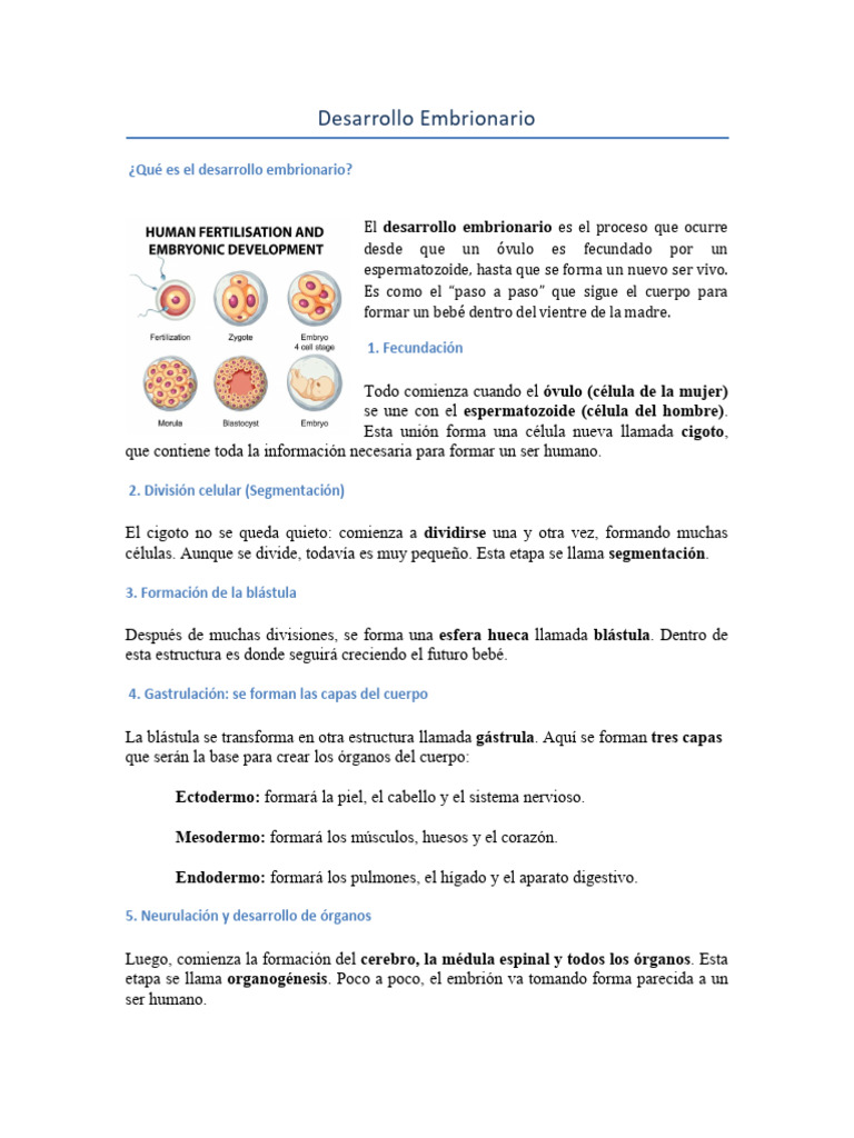 Embrion | PDF | Embrión | Morfología (biología)