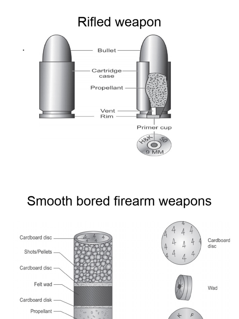 Firearm Weapons | PDF