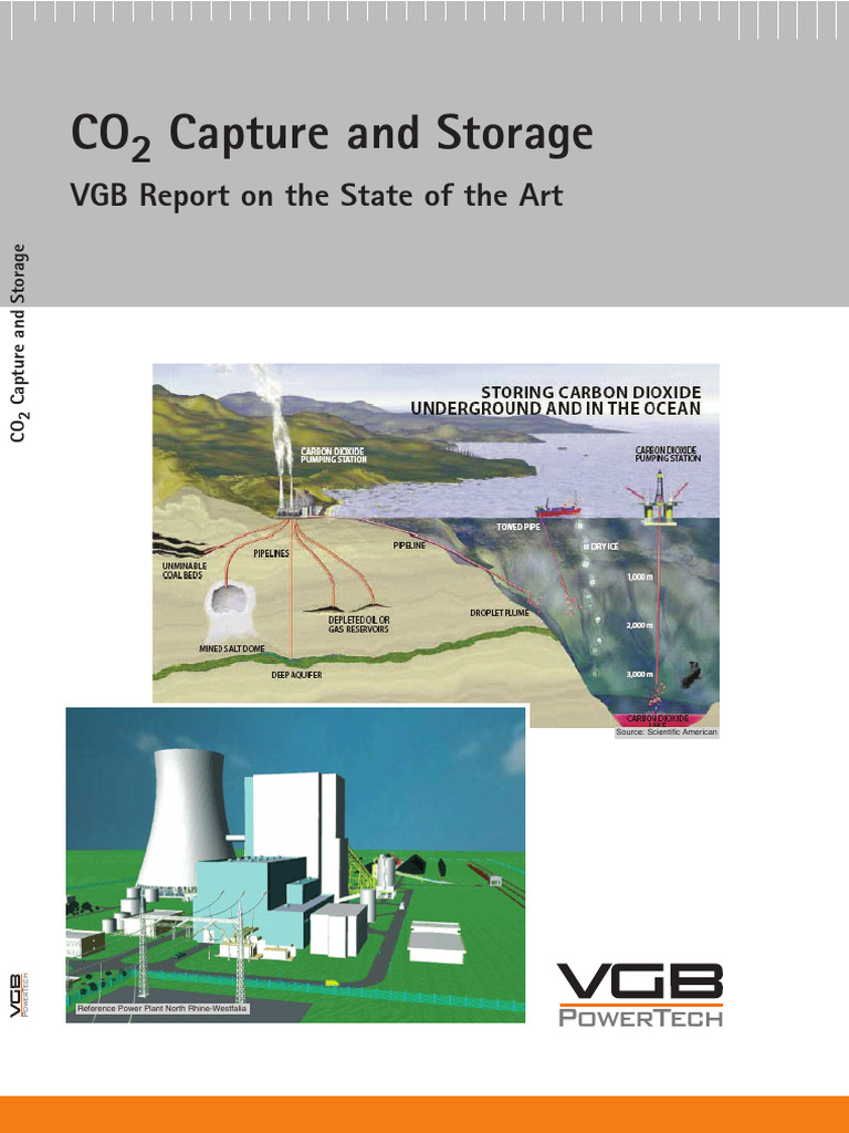 CO2 Capture and Storage Overview | PDF | Adsorption | Coal