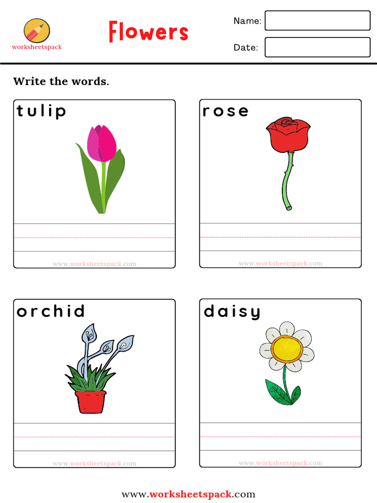 Kindergarten Writing Worksheets Flowers | PDF