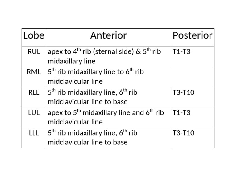 Respiratory Landmark Cheat Sheet | PDF