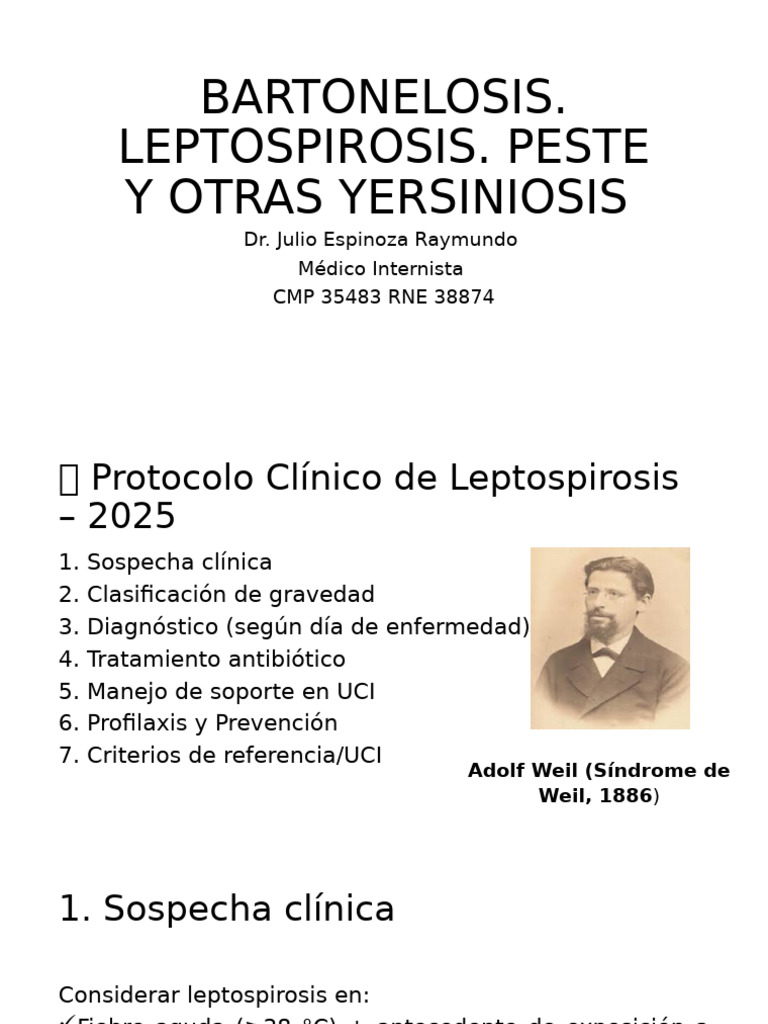 BARTONELOSIS | PDF | Inflamación | Microbiología