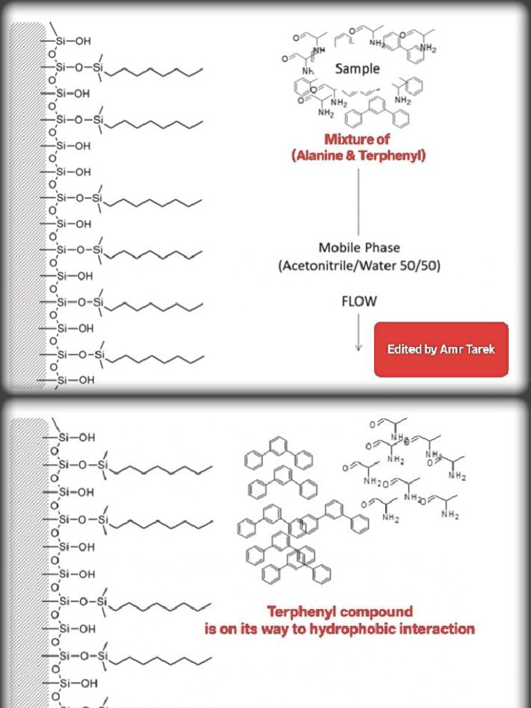 Journey Inside HPLC Column | PDF