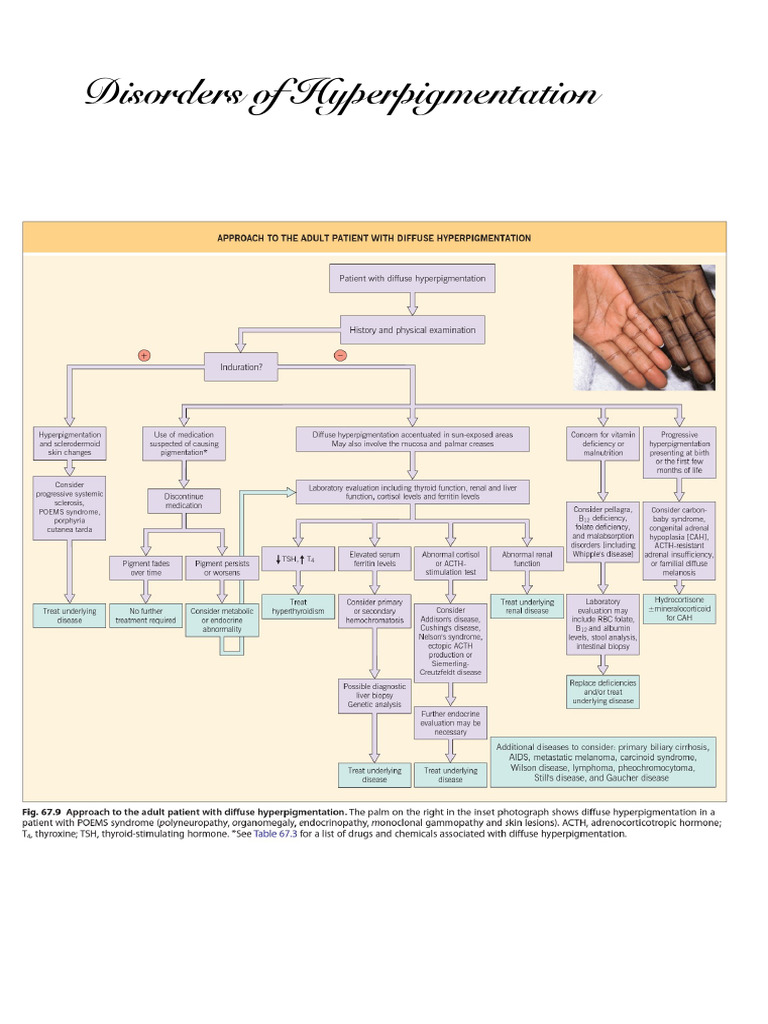 Types of Hyperpigmentation Disorders | PDF