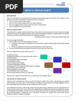 HSE Clinical Audit Guide 2023 | PDF | Sampling (Statistics) | Audit