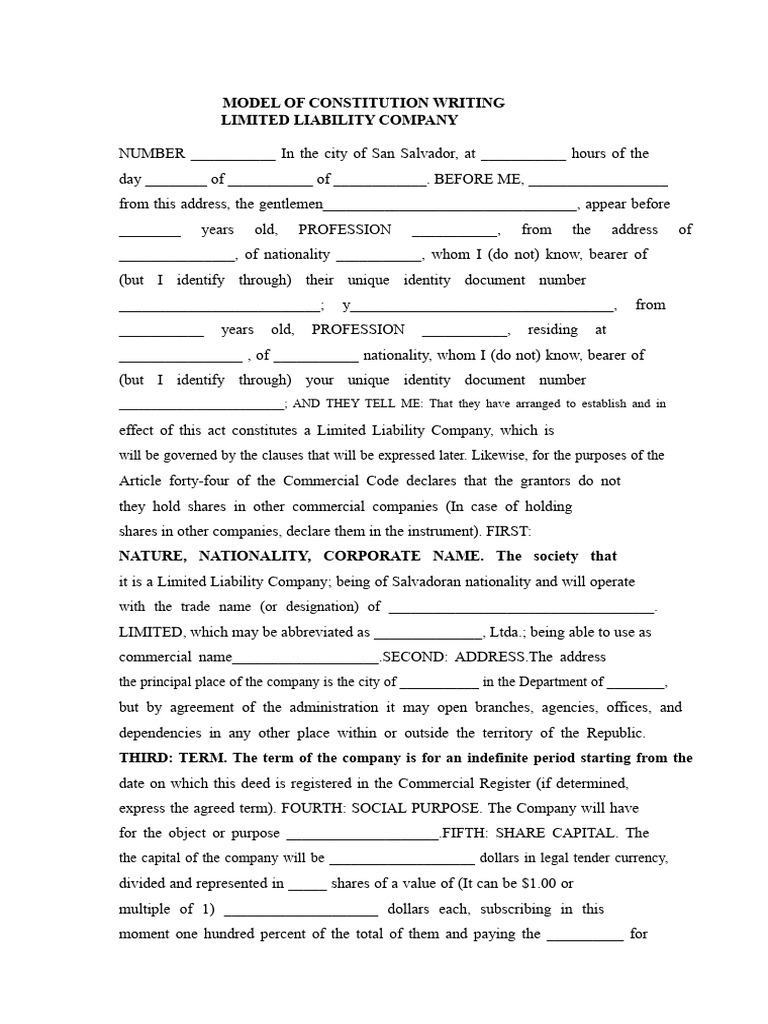 Limited Liability Company Model | PDF | United States Dollar | Limited ...