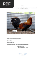 Gmail - Gamefowl Conditioning and Pointing PDF | PDF | Oat | Rooster