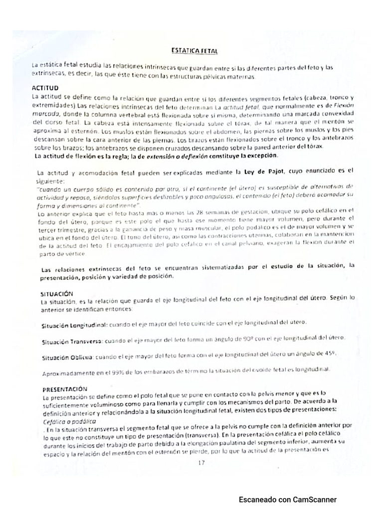 Estática Fetal y Mecanismo de Trabajo de Parto | PDF