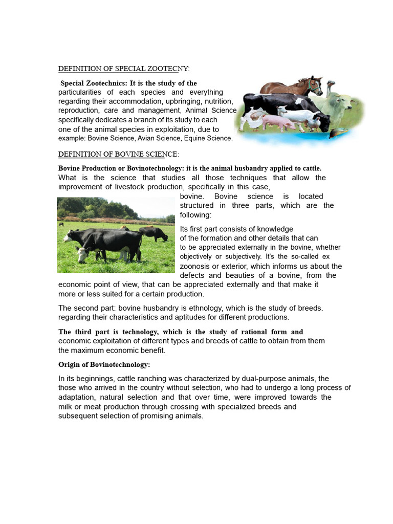 Special Zootechnics Task | PDF