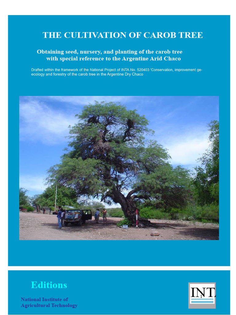 Carob Tree Cultivation Guide for Argentina | PDF | Plant Nursery | Seed