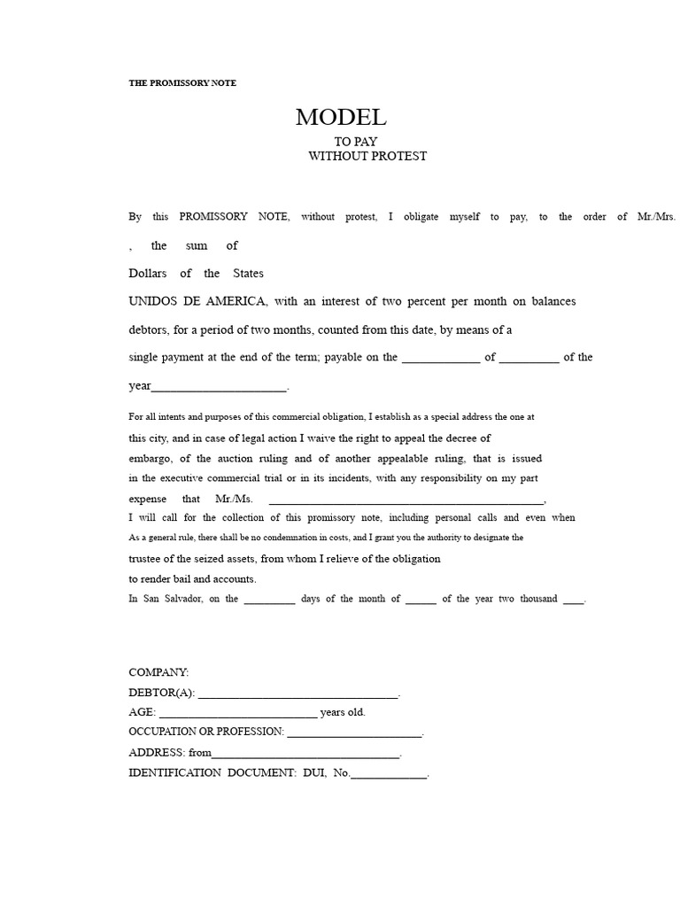 Promissory Note | PDF
