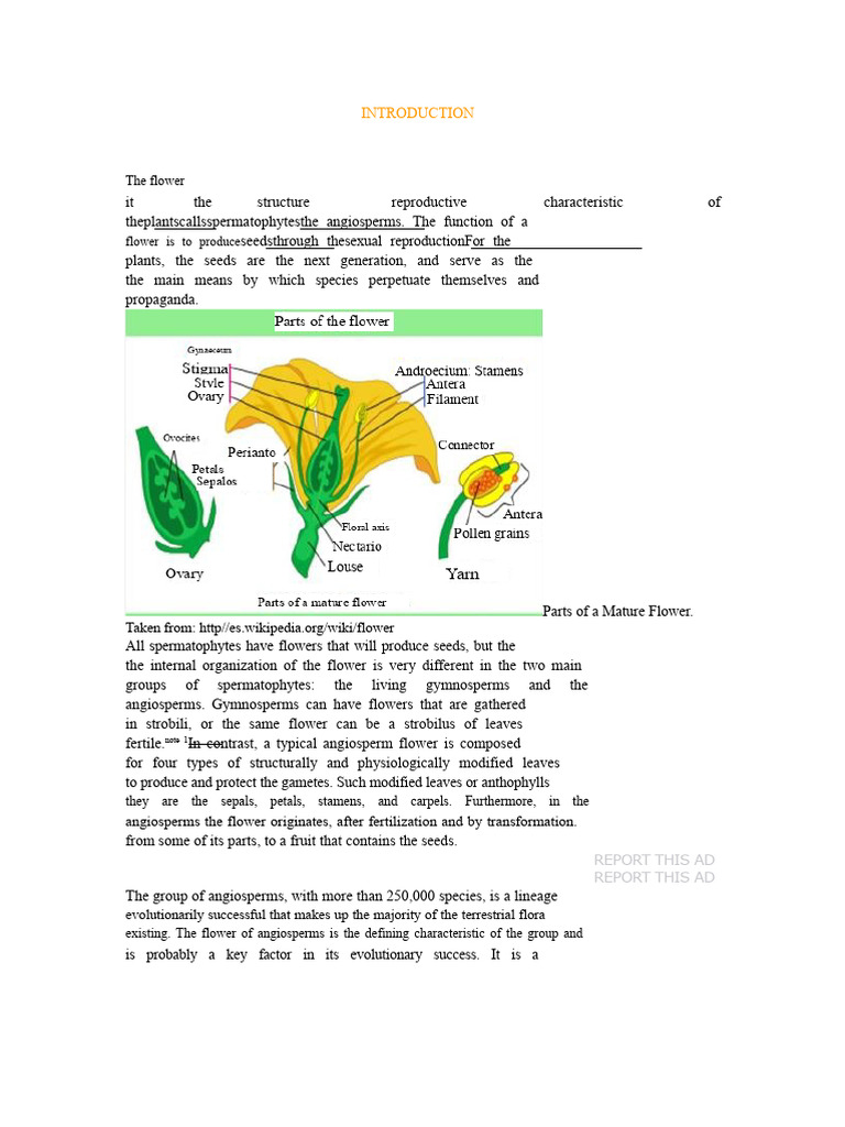 Introduction to Flower Structure | PDF | Flowers | Plant Reproduction