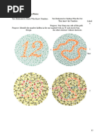 Ishihara Test Sheet | PDF | Image Processing | Ophthalmology