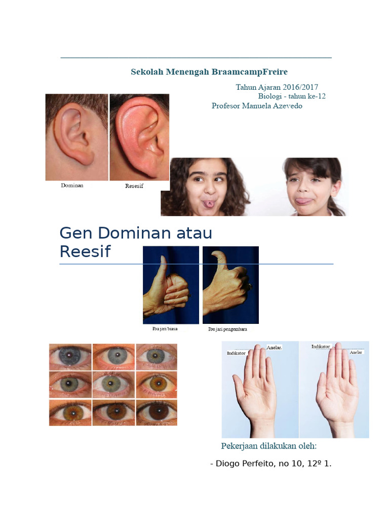 Gen Dominan dan Resesif dalam Biologi | PDF