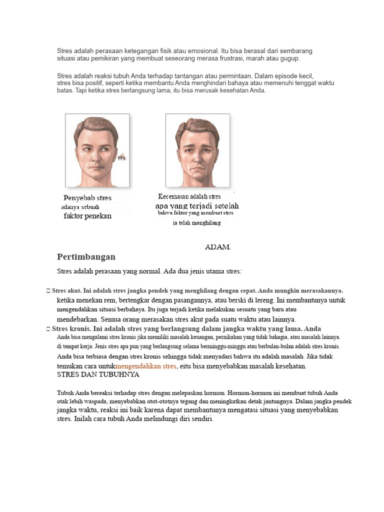 Memahami Stres: Jenis, Gejala, dan Pencegahan | PDF