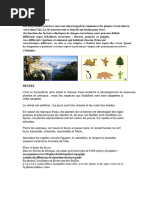 Forêt Tropicale | PDF | Tropiques | Climat