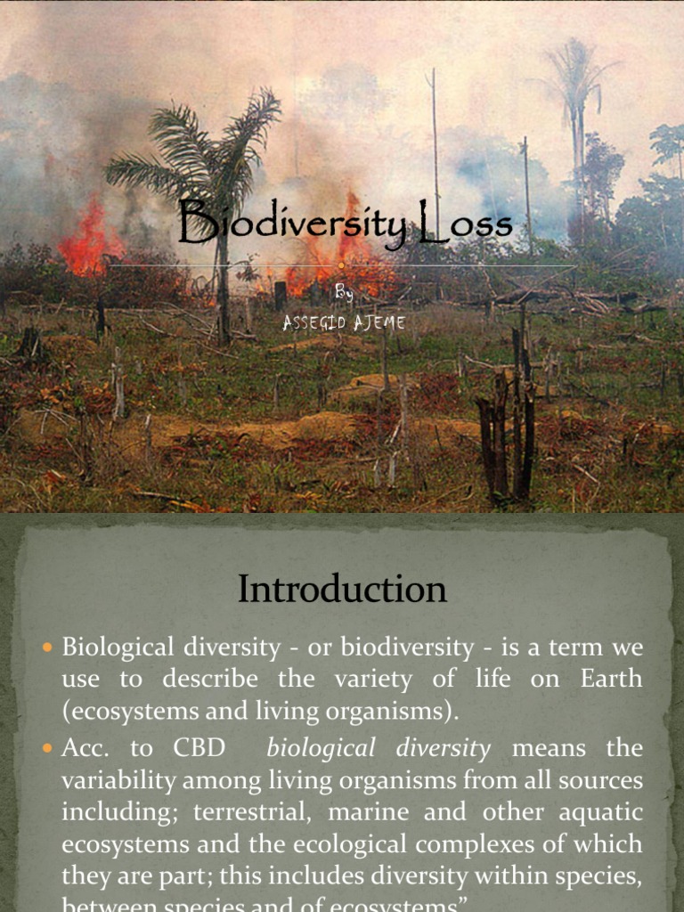 Biodiversity Assignment | PDF | Biodiversity | Ecosystem