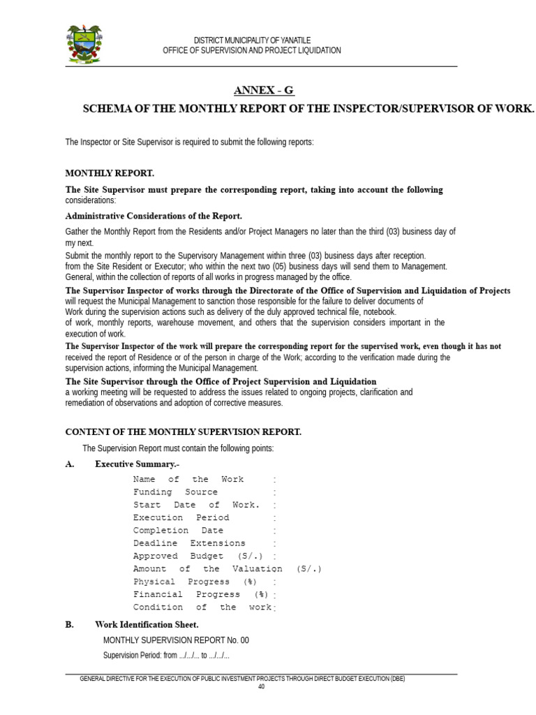 Annex G Project Supervisor Monthly Report Outline | PDF