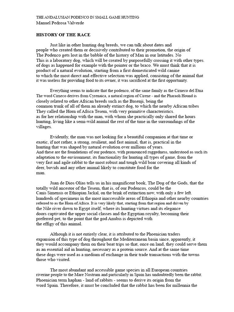 Andalusian Podenco: Hunting History | PDF | Dogs | Hunting