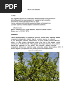 Calachuchi Tree | PDF