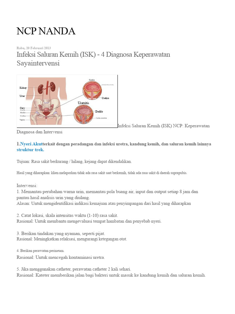 Infeksi Saluran Kemih (ISK) - 4 Intervensi Diagnosis Keperawatan | PDF