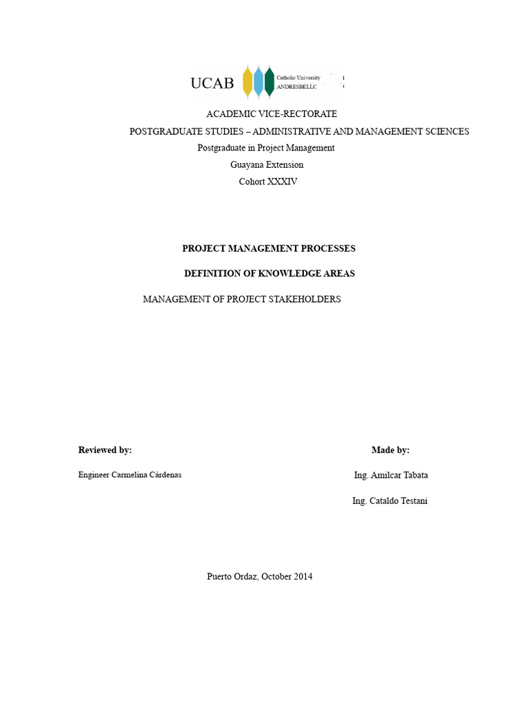 Stakeholder Management in Project Management | PDF | Risk | Project ...