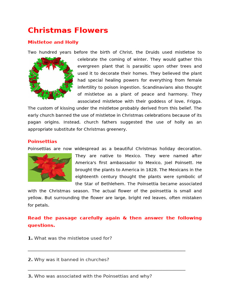 Christmas Flowers Reading Comprehension Exercises 75551 | PDF