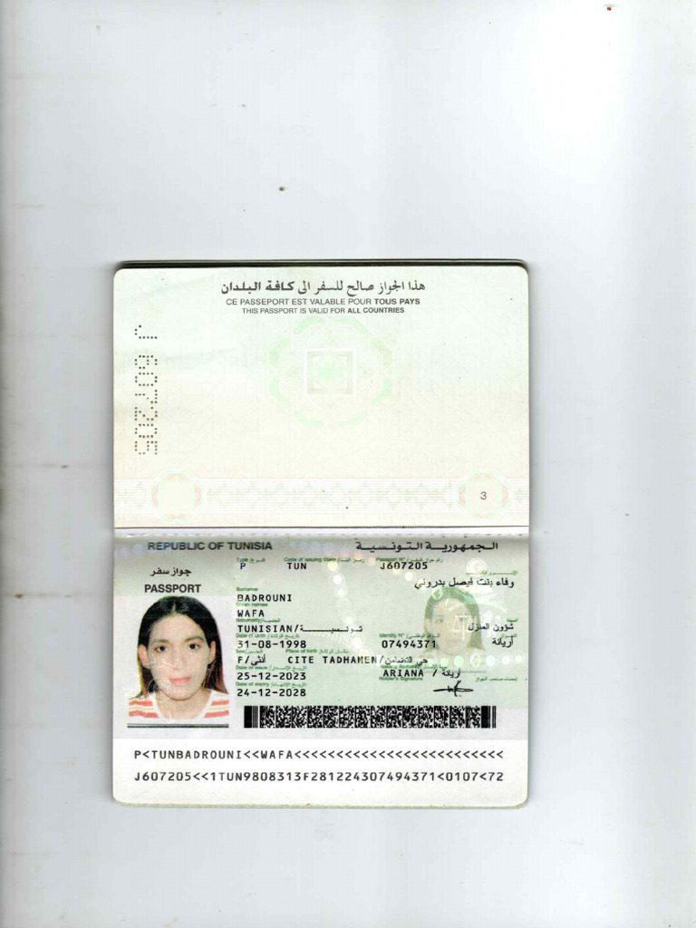 Passport | PDF