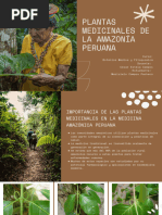 Informe 100 Plantas Medicinales Selva Peruana | PDF