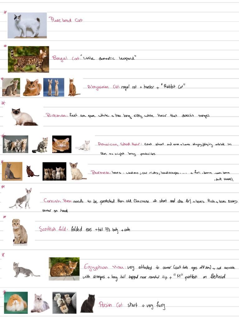 Cats | PDF