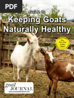 Your Goats Normal Vital Signs Fudetb | PDF | Goat | Thermoregulation