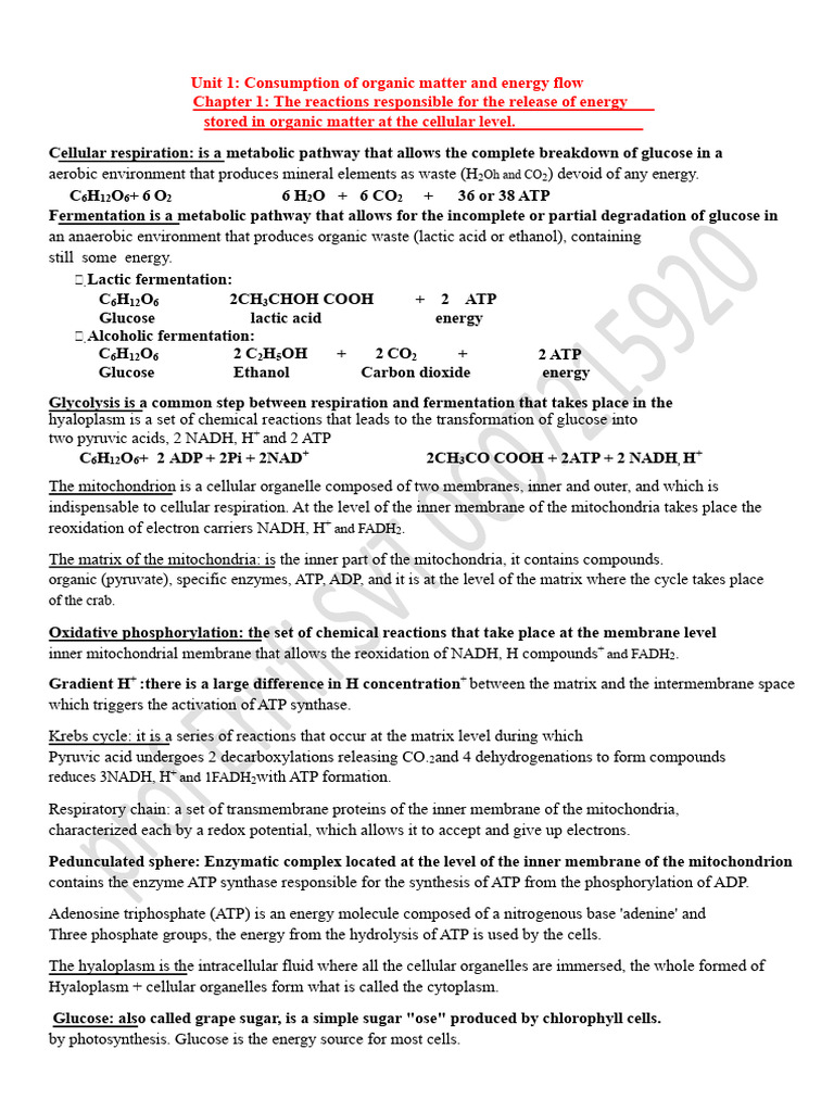 The Definitions of Life and Earth Sciences (SVT) | PDF | Cellular ...