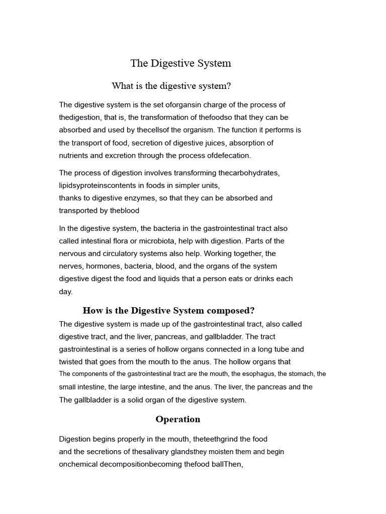 Overview of the Digestive System | PDF | Gastrointestinal Tract | Stomach