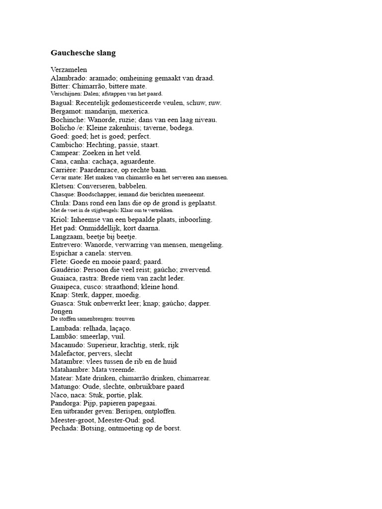 Gaucho straattaal | PDF