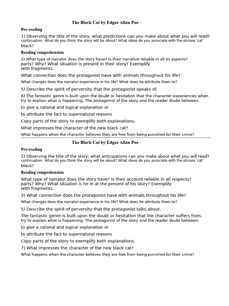 The Black Cat Practical Work | PDF