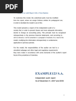 ISA 800: Special Purpose Financial Audit | PDF | Audit | Going Concern
