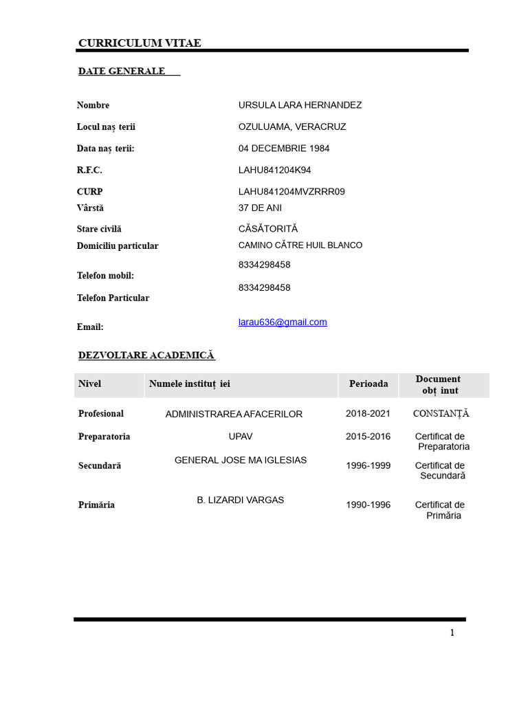 Format Curriculum Inegi | PDF