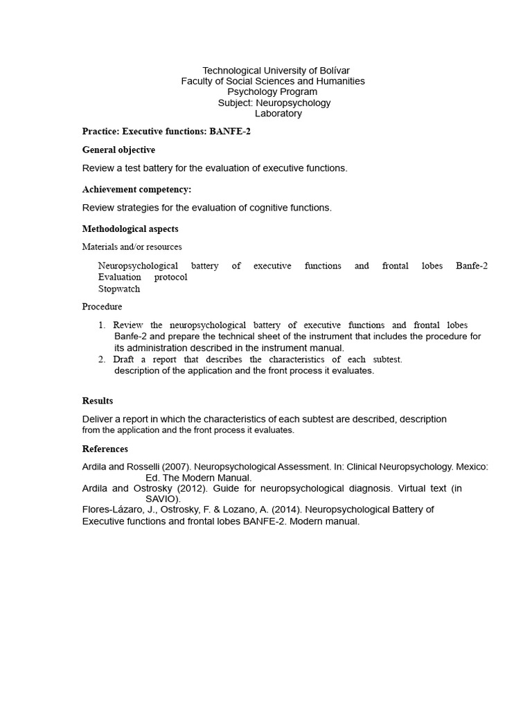 Banfe Report | PDF | Executive Functions | Neuropsychology