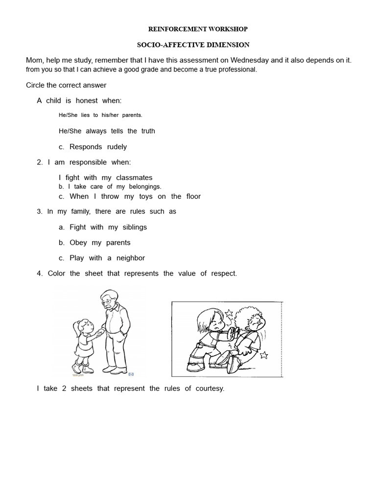 WORKSHOP On Socio-Affective Dimension | PDF
