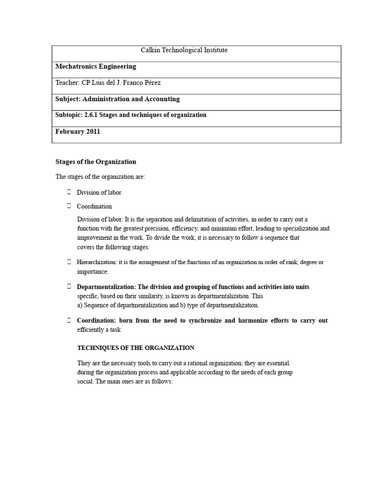 Organization Stages and Techniques Guide | PDF