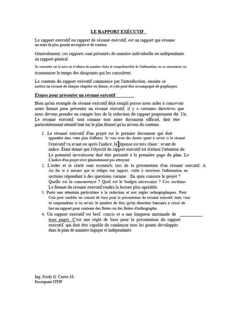 Guide du Rapport Exécutif Concis | PDF