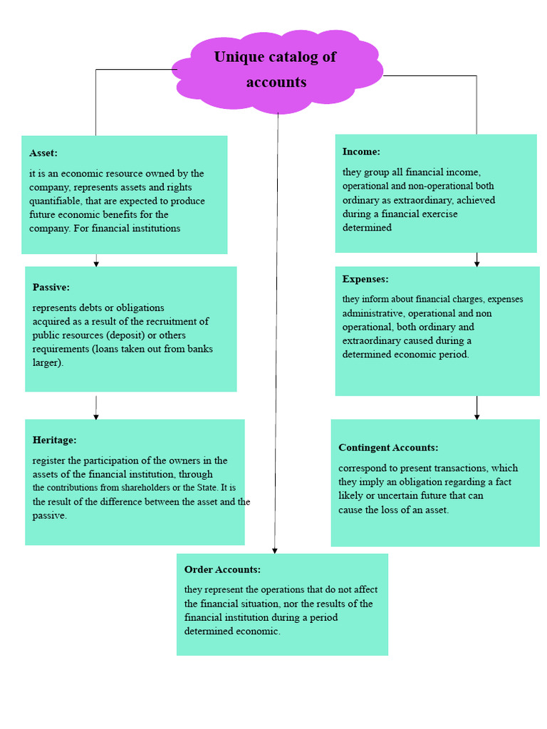 Graphic Organizer About The Unique Chart of Accounts | PDF | Expense ...