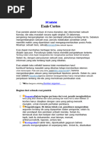 40 Contoh Esai Pendek Beragam Tema | PDF