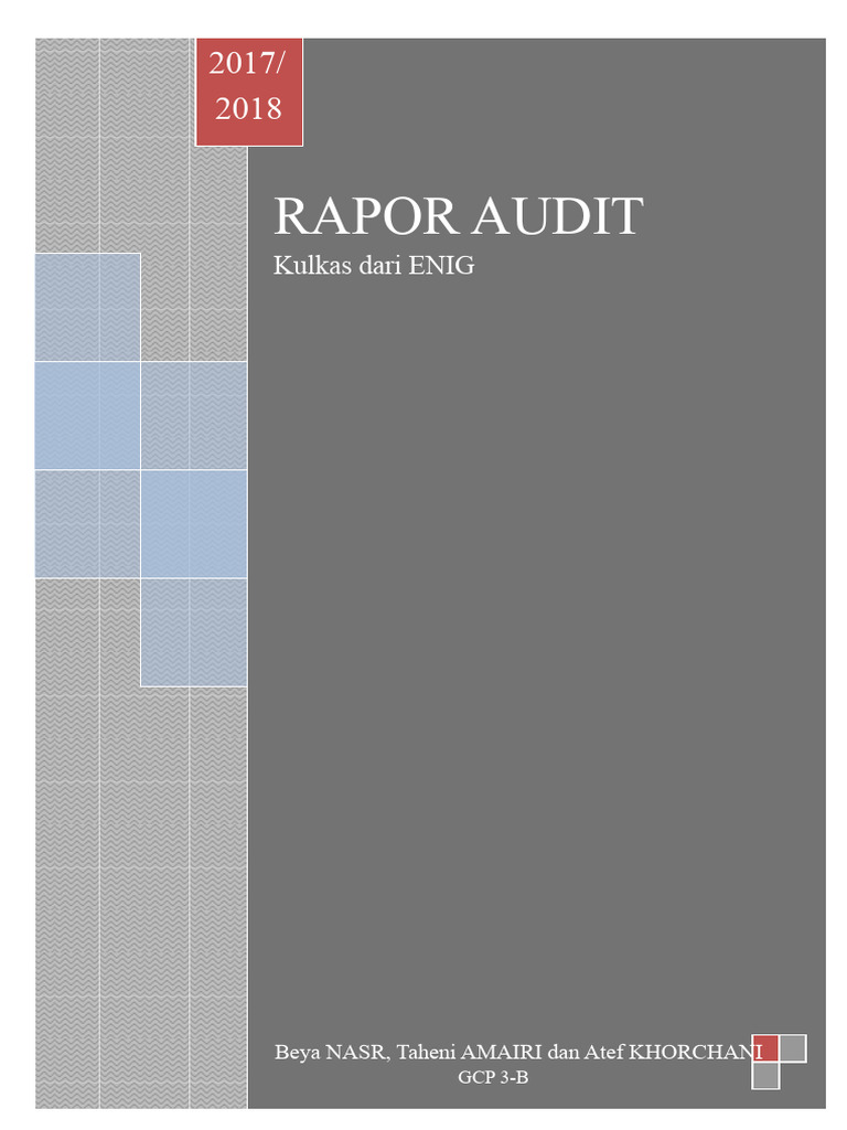 Rapor Audit Kinerja Boiler ENIG | PDF