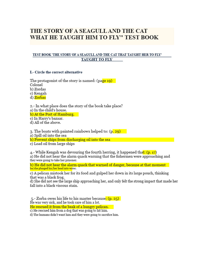 Seagull and Cat: A Flying Lesson Test | PDF