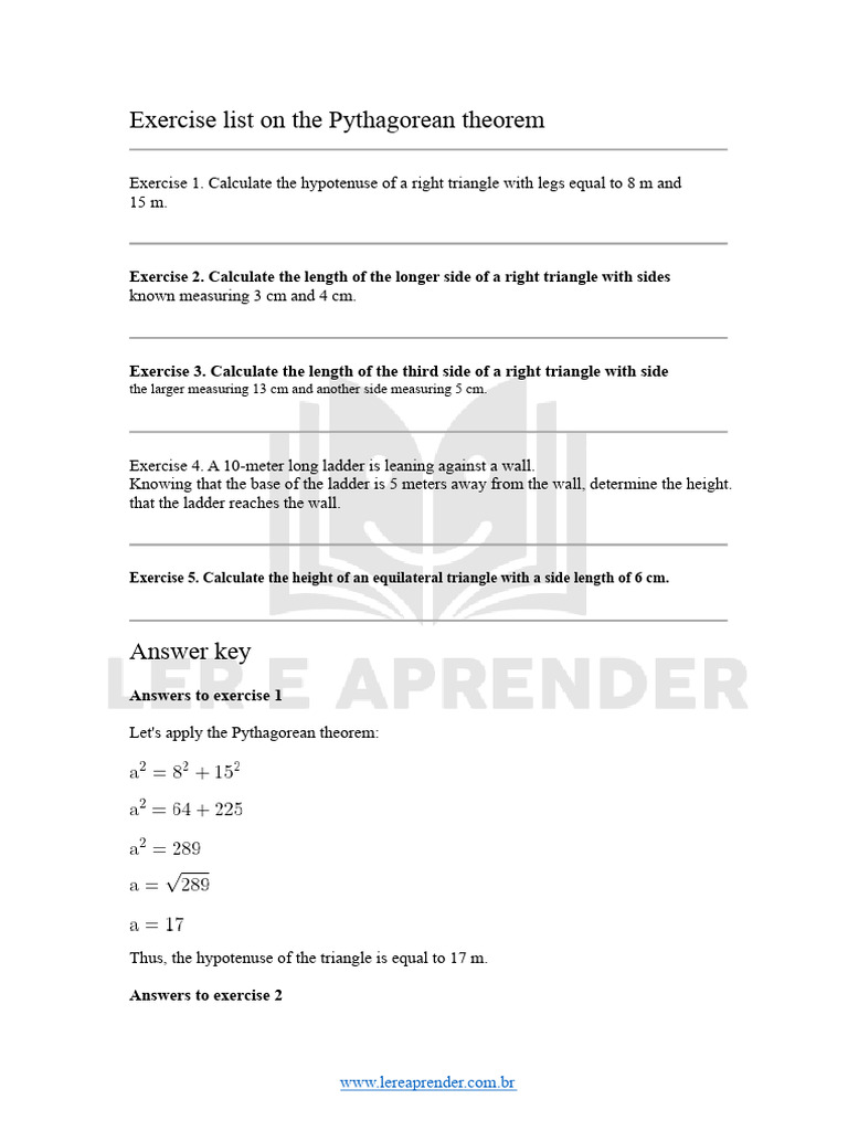 Pythagorean Theorem Exercises and Solutions | PDF